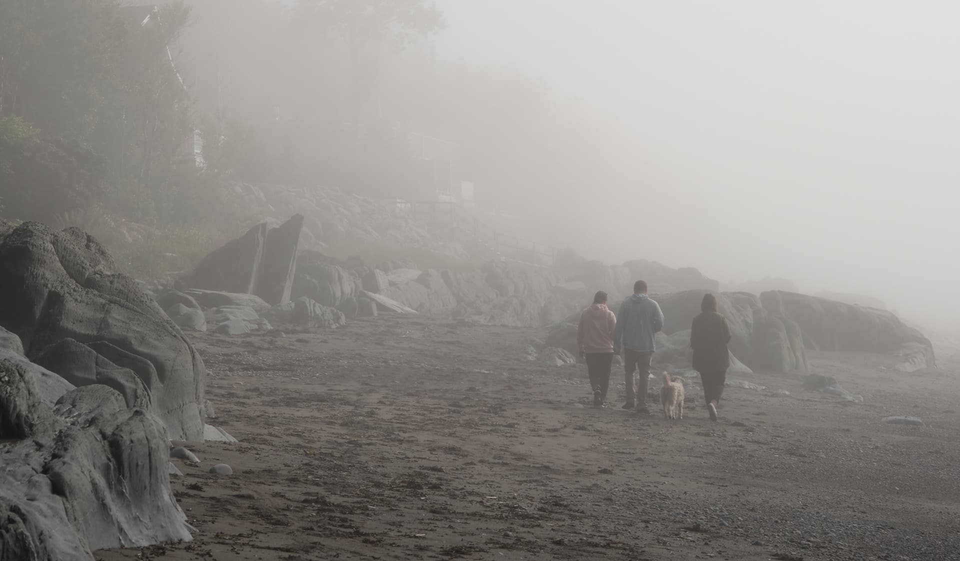 Limited Series – Escape Coffee Company